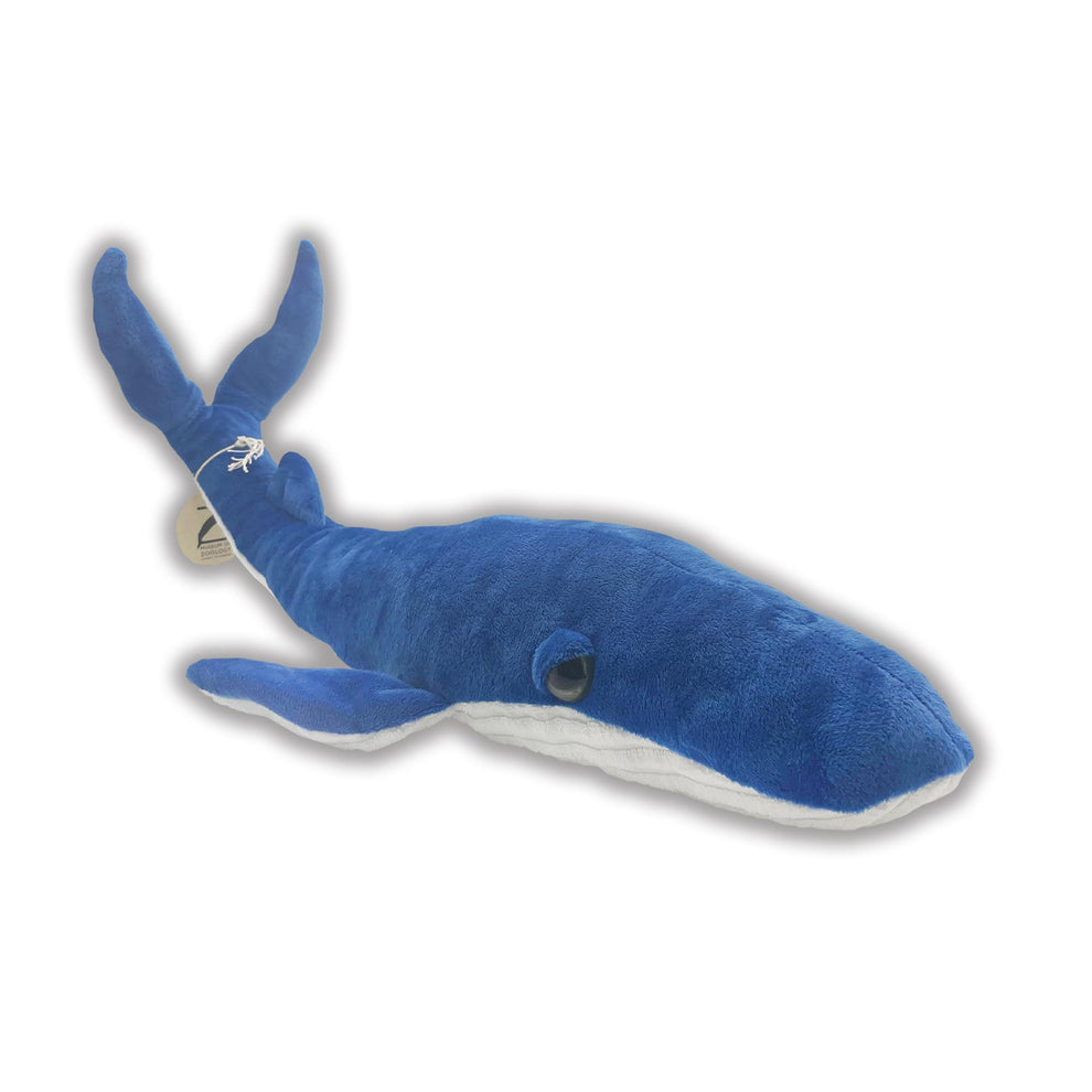 Blue Whale - Plush toy – Curating Cambridge
